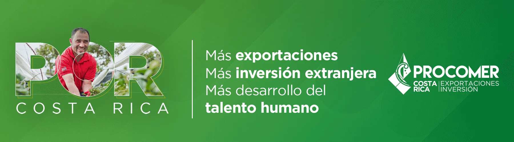 El rualdo, ave símbolo de Poás - El Sol de Occidente