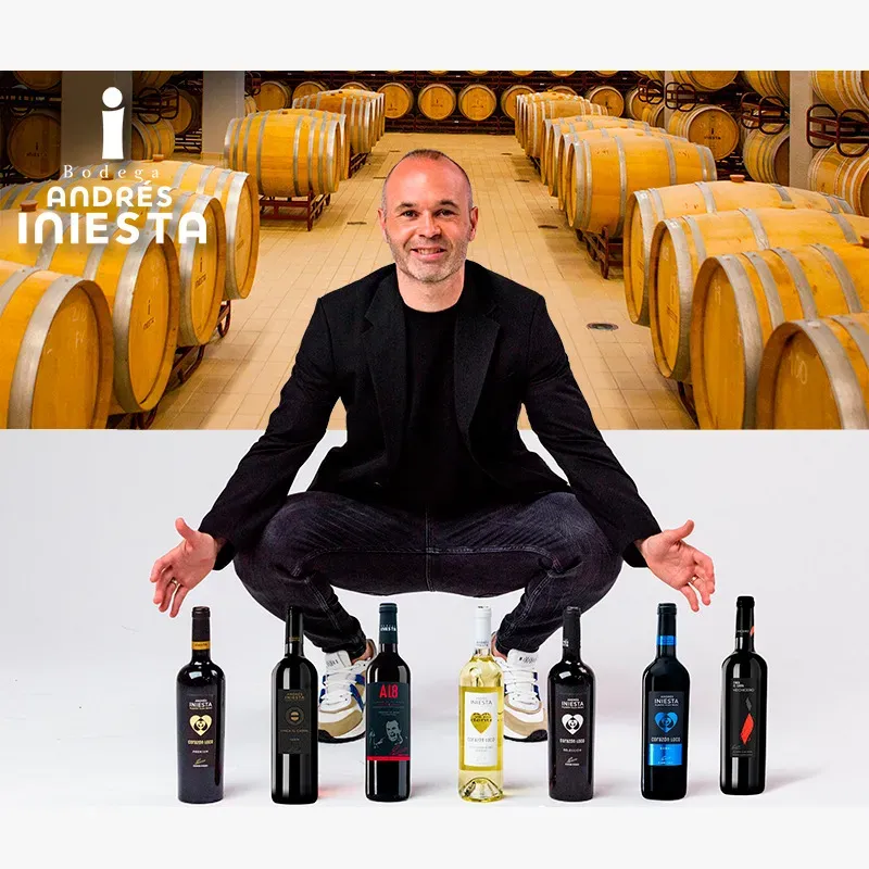 Distribuidora Coarsa: Impulsando el sabor exquisito de los Vinos ...